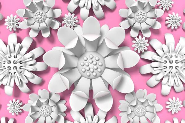 White Flower with Pink Background Wallpaper - Magicdecor®