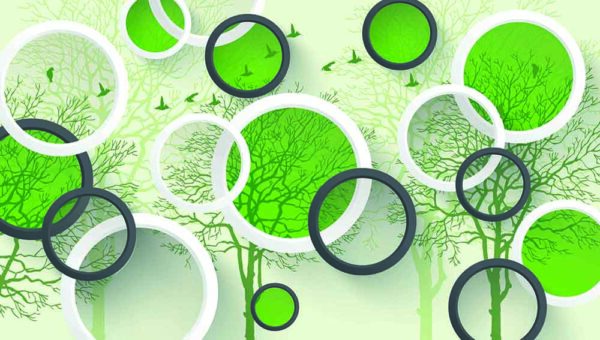 Green Circular Shape Birds Forest - Magicdecor®