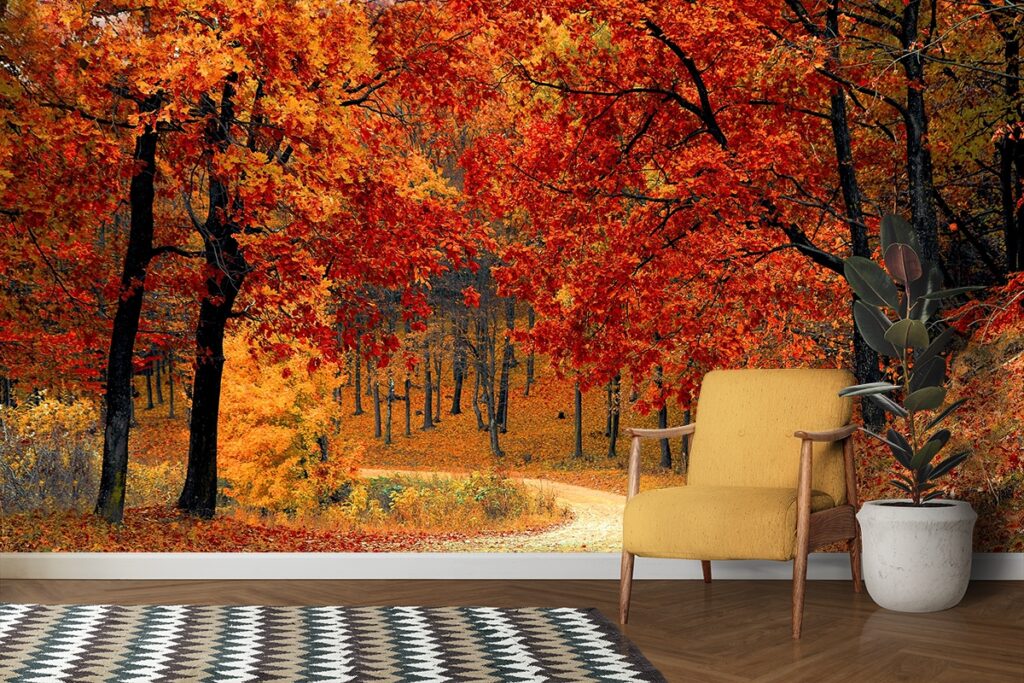 Dining Room Wallpaper of Beautiful Orange Forest - Magicdecor®