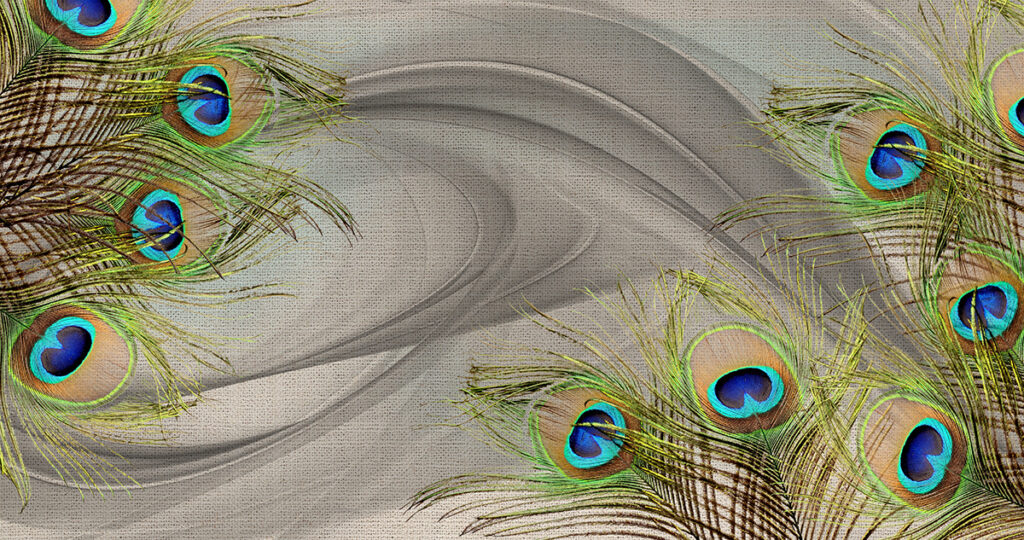 Peacock feathers Wallpaper - Magicdecor®