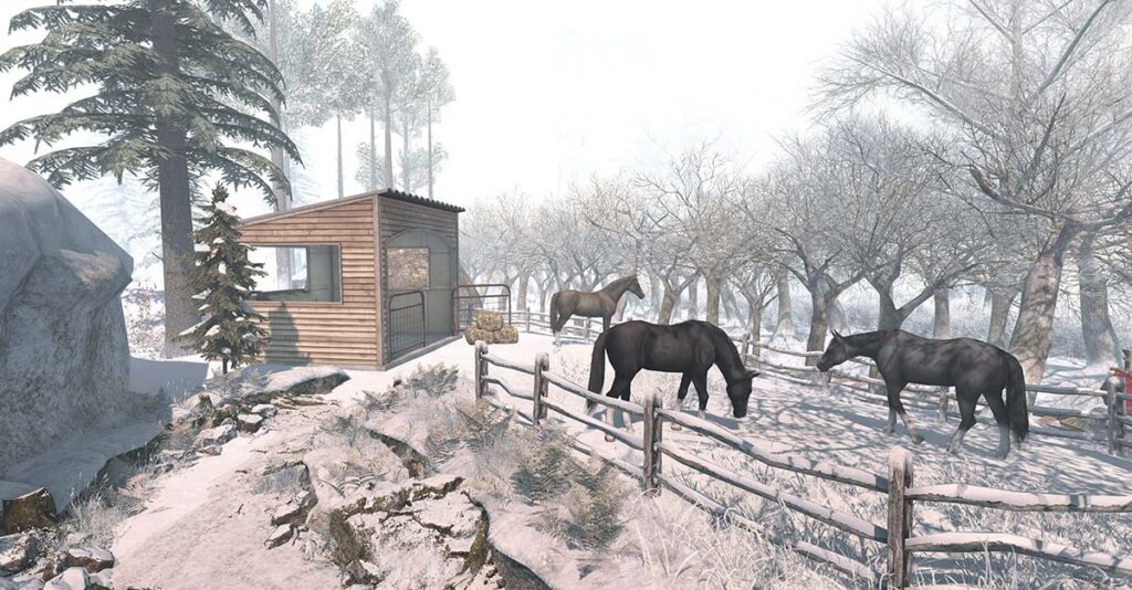 A group of horses in a snowy area - Magicdecor®