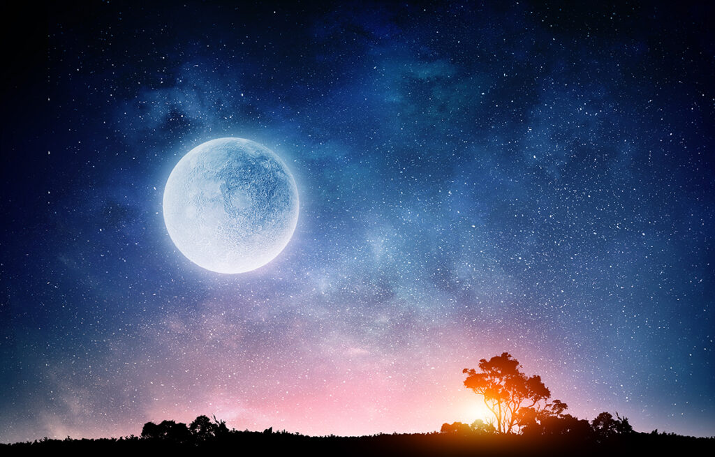 Moon and a tree Wallpaper - Magicdecor®