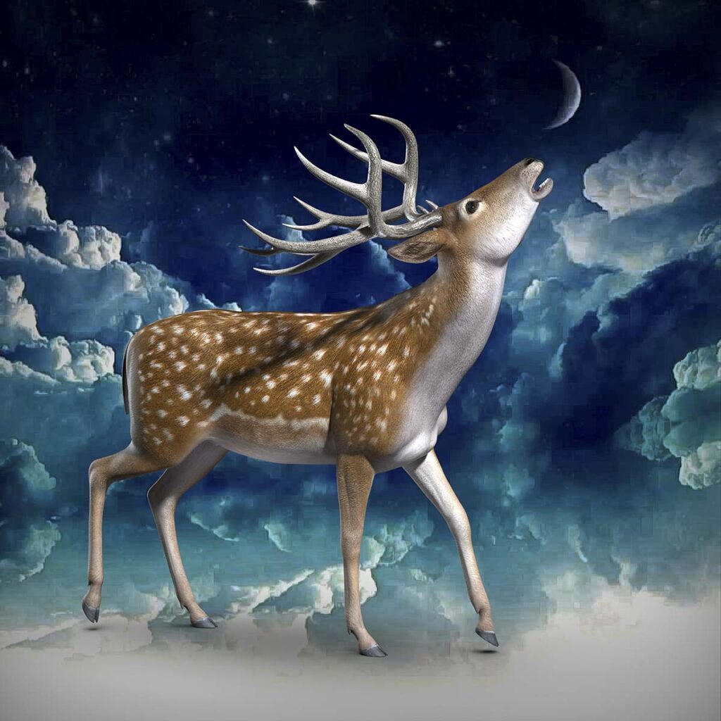 3D Deer and Moon Wallpaper - Magicdecor®