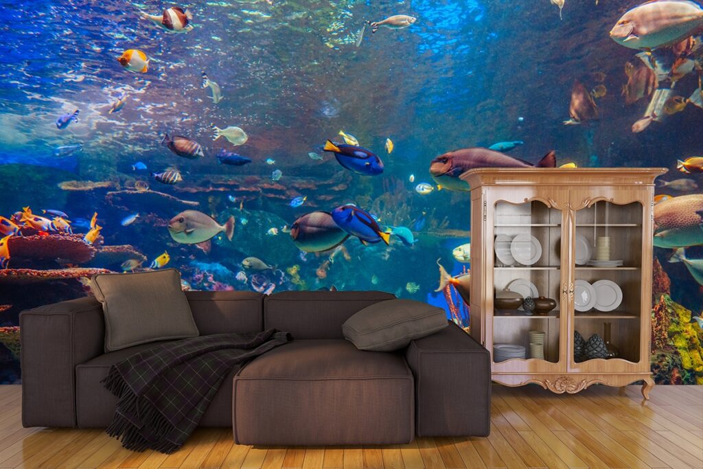 Kids Room Wallpaper - A group of fish swimming in a tank