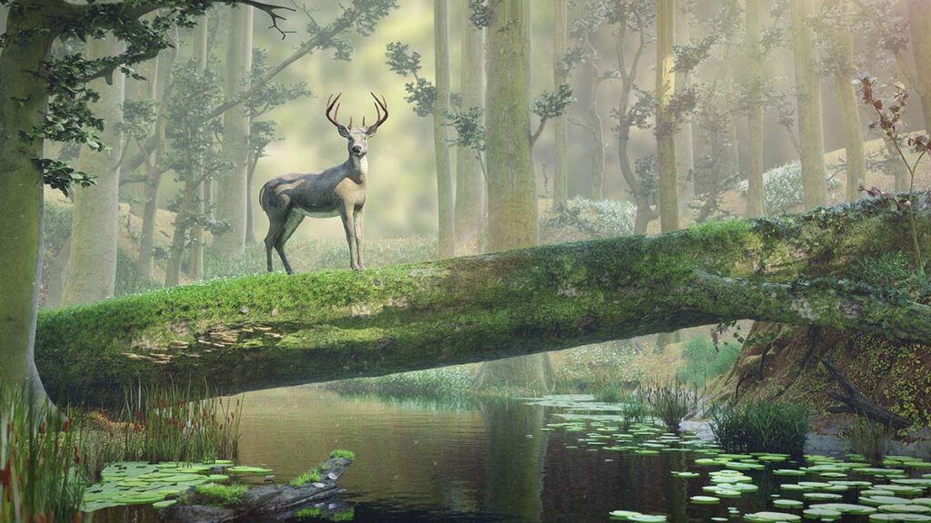 A deer standing on a log over a river - Magicdecor®