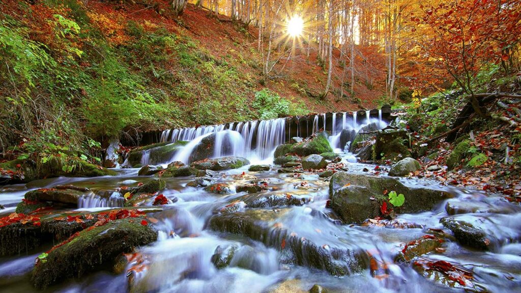 Waterfall in a Forest Wallpaper for Walls - Magicdecor®