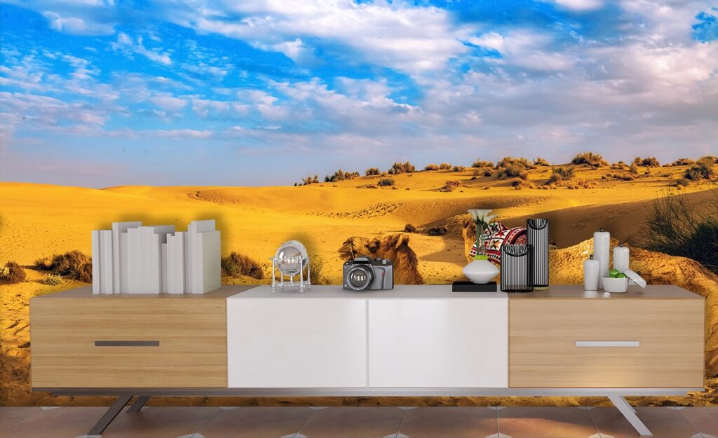 A camel lying in the sand - Magicdecor®