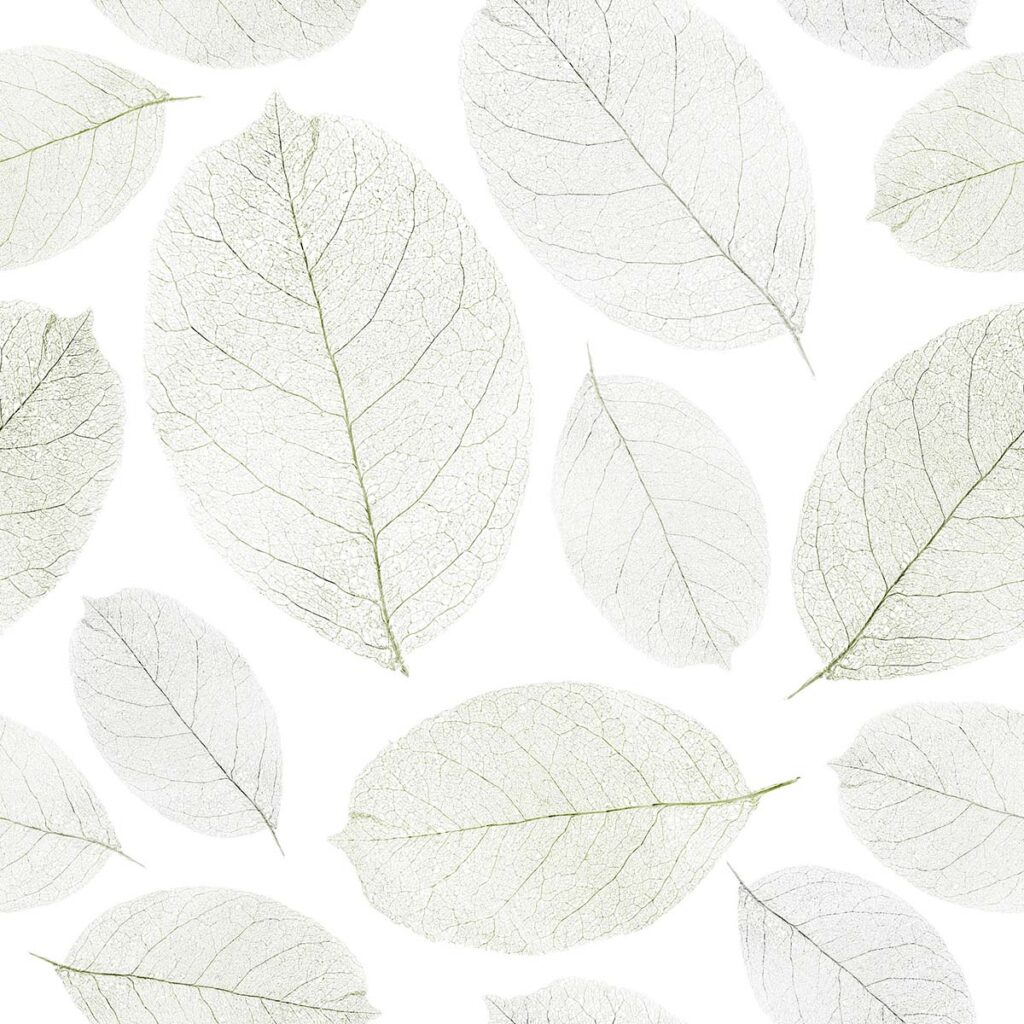 A group of white leaves - Magicdecor®