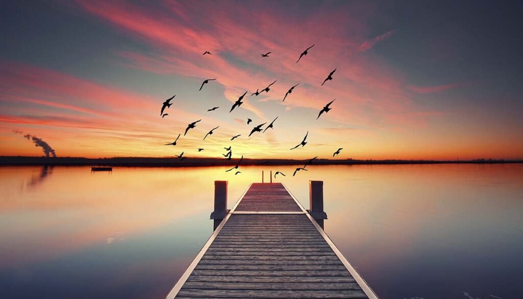 A group of birds flying over a dock - Magicdecor®