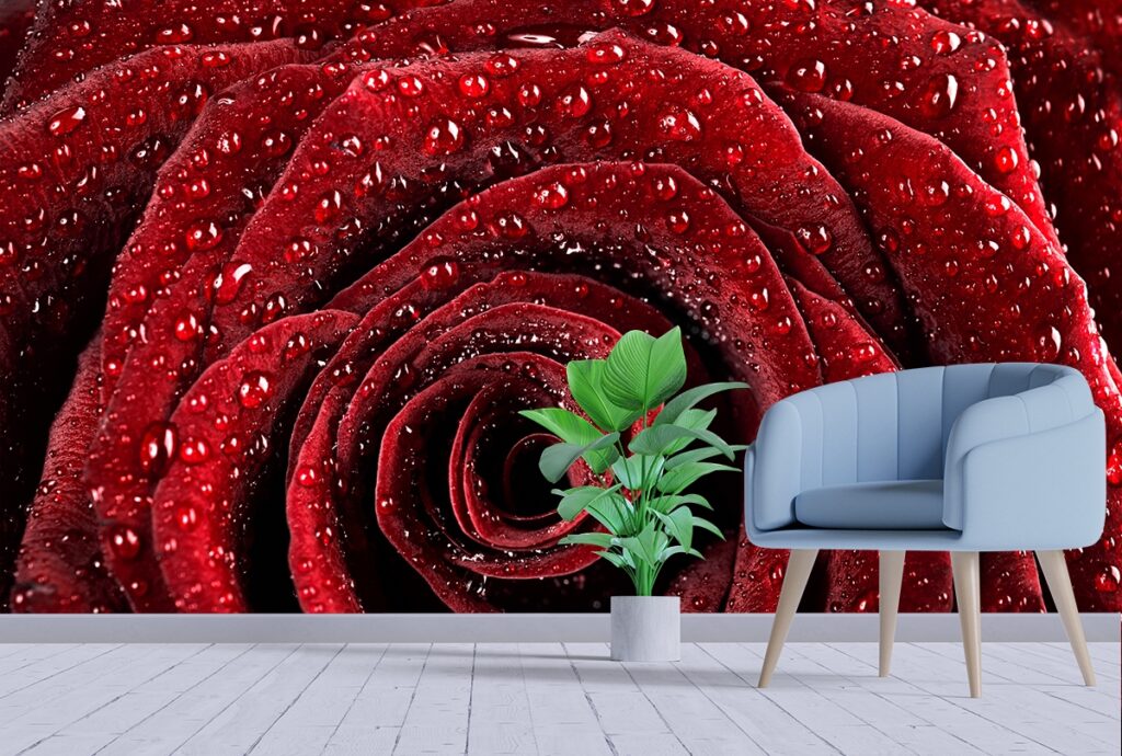 Bedroom Wallpaper - Close Up of a Rose - Magic Decor