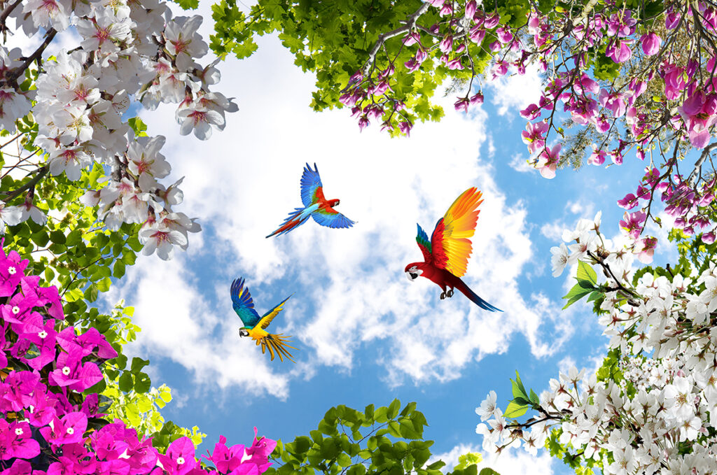 Birds Flying in the Sky Ceiling Wallpaper - Magicdecor®