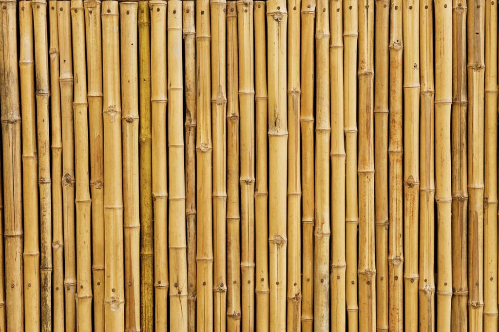 3D Wallpaper Mural Effect Realistic Bamboo Sticks
