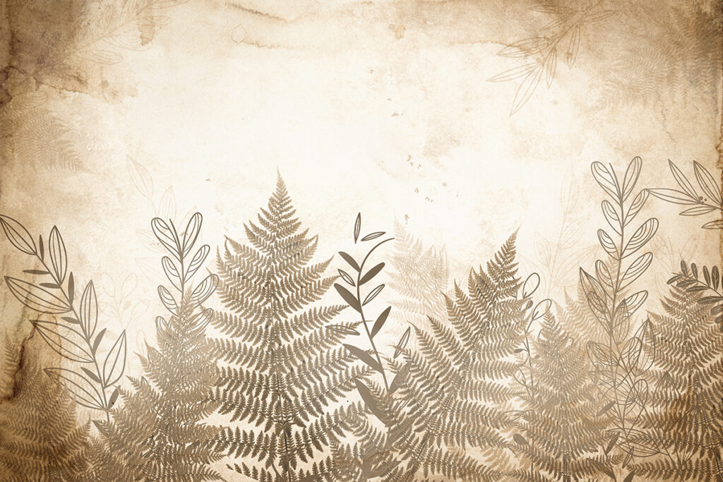 A fern leaves and branches - Magicdecor®