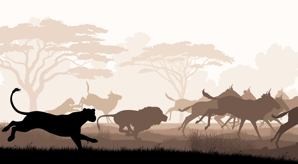 Kids Room Wallpaper, A group of animals running in the wild - Magicdecor®