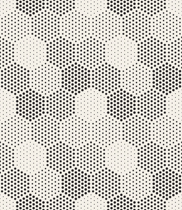 A black and white hexagon pattern - Magicdecor®