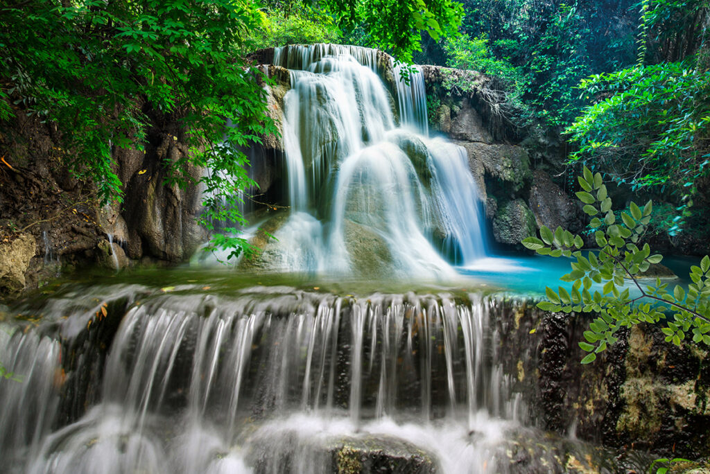 Mesmerizing Waterfall in a Forest Wallpaper for Wall - Magicdecor®