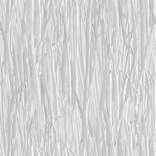 A white surface with thin lines - Magicdecor®