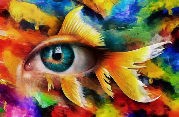 A colorful eye with fish tail - Magic Decor