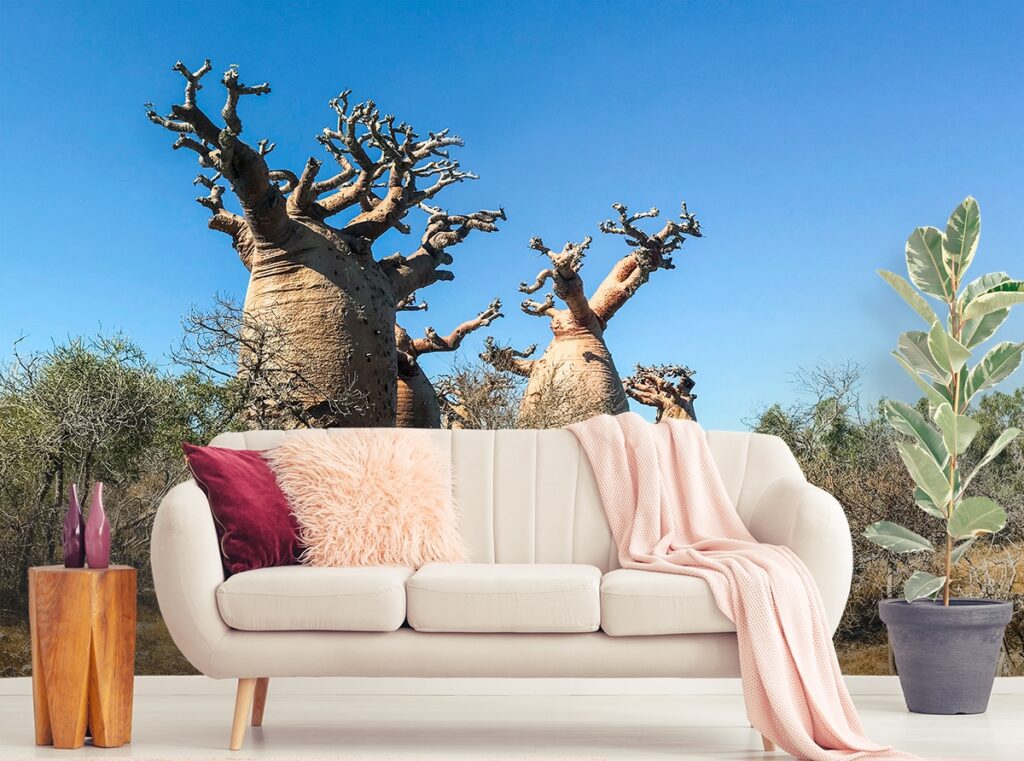 A group of trees with branches - Magicdecor®