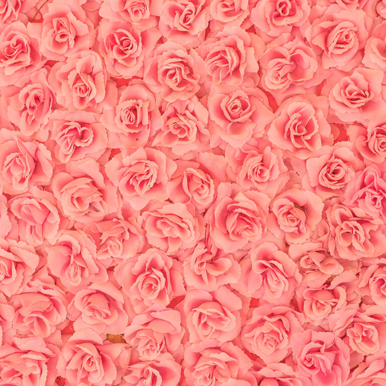 Pink Rose Pattern Wallpaper for Bedroom - Magic Decor