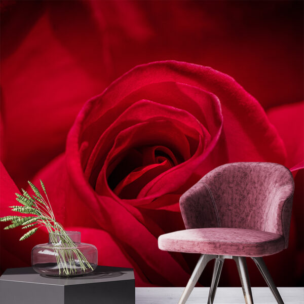 Beautiful Wallpaper Mural of A Red Rose - Magicdecor®