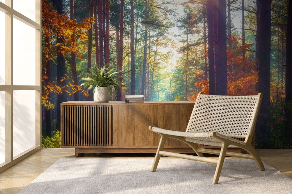 A path through a forest with trees and grass - Magicdecor®