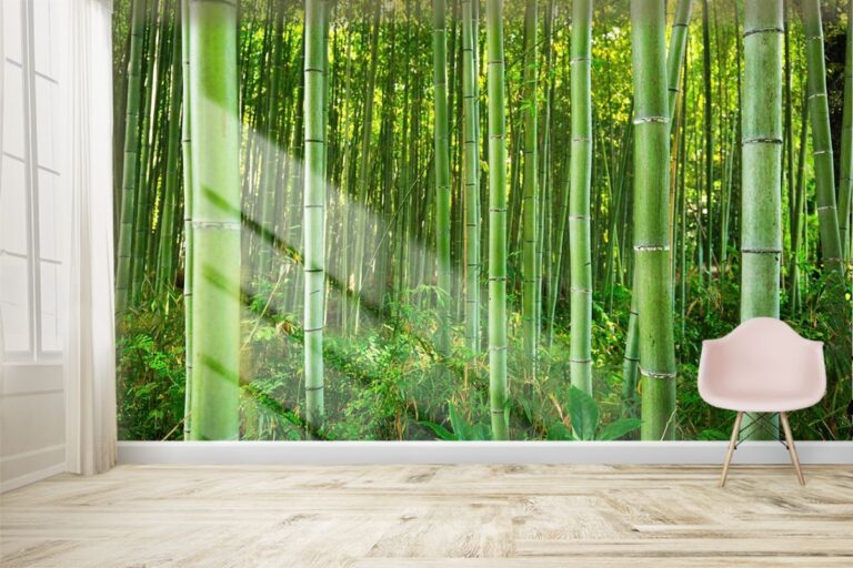 Bamboo Wallpaper for Wall, Green Bamboo Forest Wallpaper - Magicdecor®