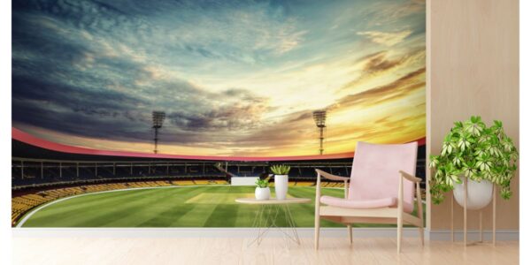 Beautiful Cricket Stadium Wallpaper Mural - Magicdecor®