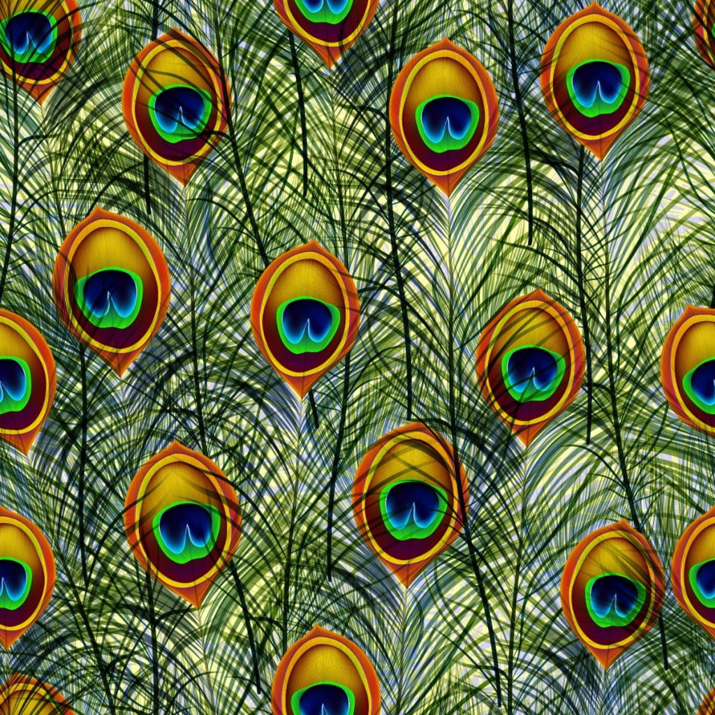 Mor Pankh Wallpaper for Wall, Lively Peacock Feather Pattern - Magicdecor®