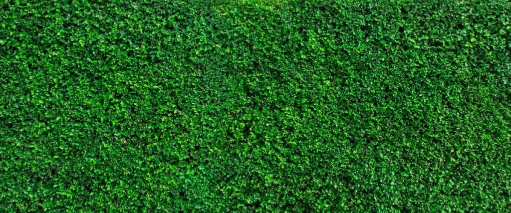 Green Glass Backdrop Texture Wallpaper for Wall - Magicdecor®