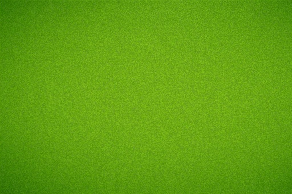 Green Grass Texture Wallpaper for Walls - Magicdecor®