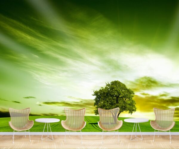 Beautiful Tree and Green landscape Wallpaper for Wall - Magicdecor®