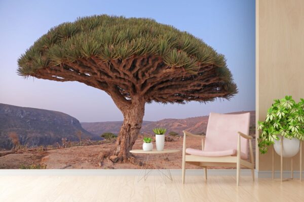 Dracaena Draco Tree Wallpaper for Wall - Magicdecor®