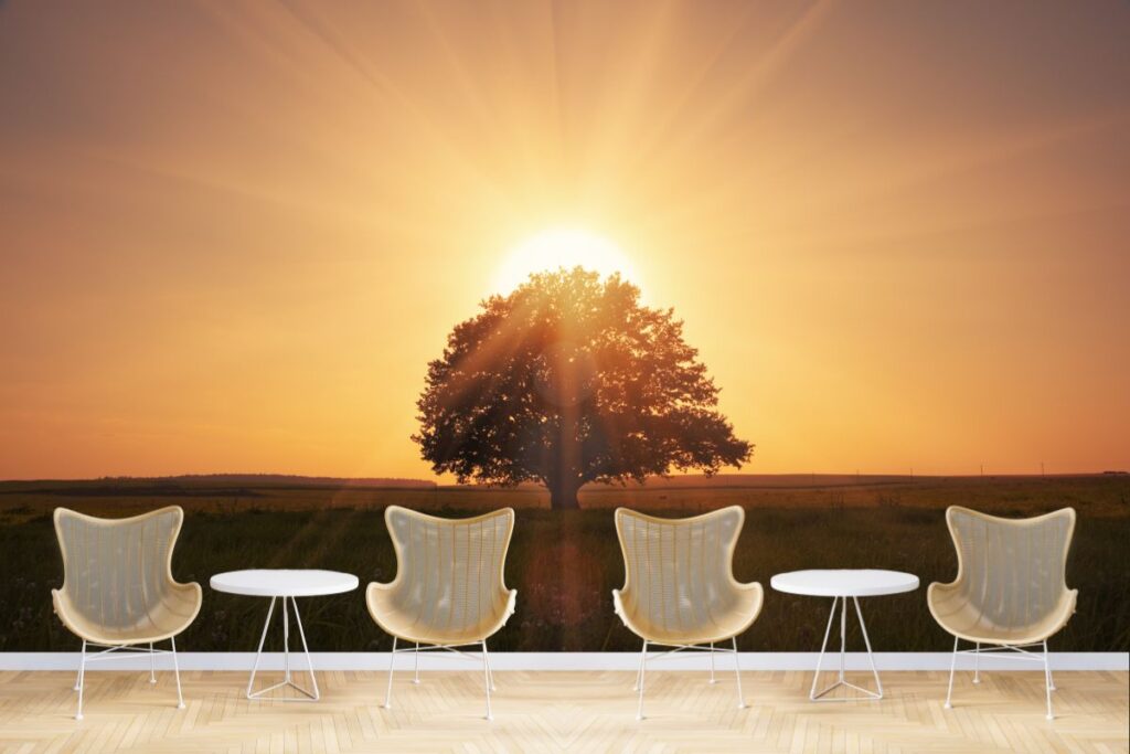 Magical Sunrise With Tree Wallpaper Mural - Magicdecor®
