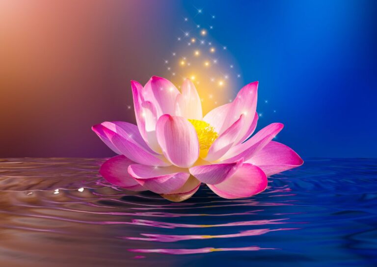 Beautiful Sparkling Pink Lotus in Water Wallpaper for Wall - Magicdecor®