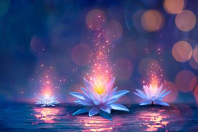 Magic Lotus Flower On Water Wallpaper for Wall - Magicdecor®