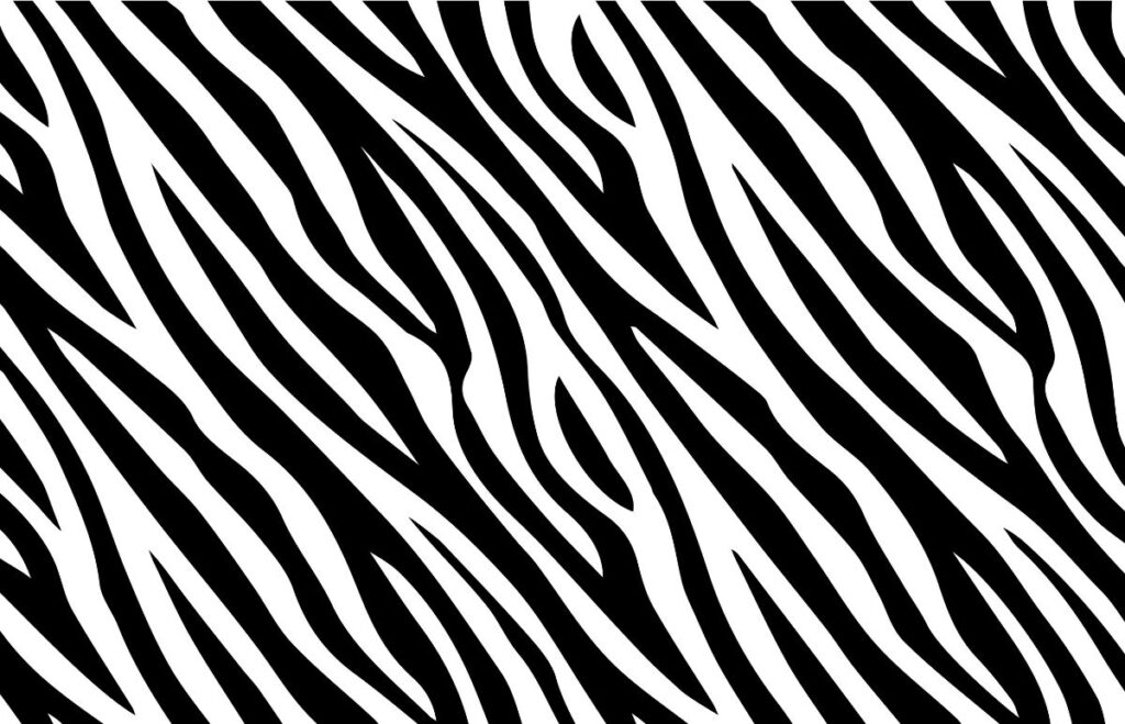 Chic Zebra Print Wallpaper for Walls - Magicdecor®
