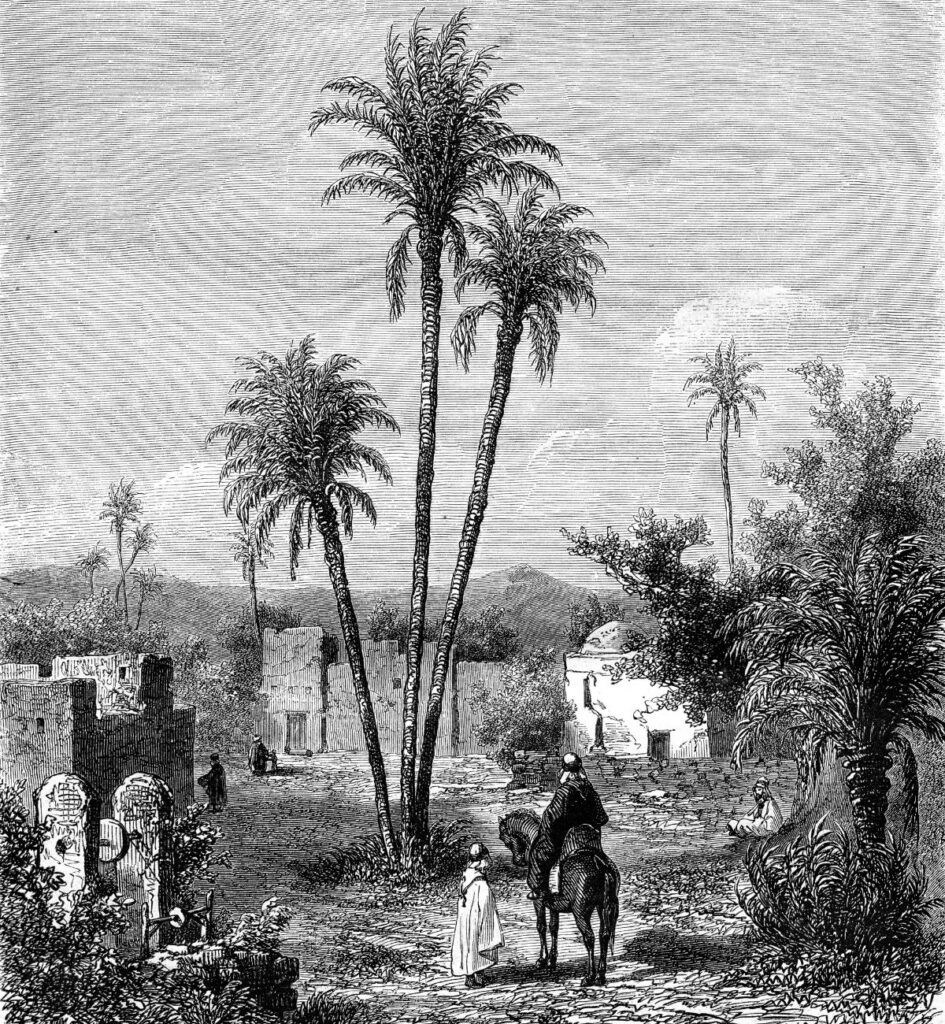 Vintage Reverie Mural Wallpaper for Room Wall - Magicdecor®