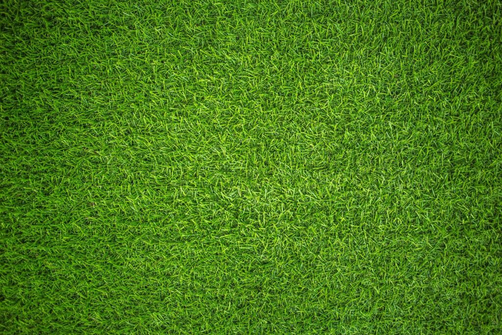 Green Grass Texture Wallpaper Mural for Wall - Magicdecor®