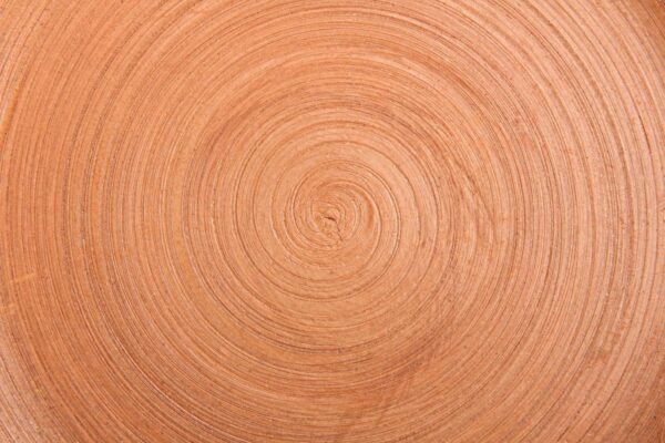 Clay Pot Texture Wallpaper Mural - Magic Decor