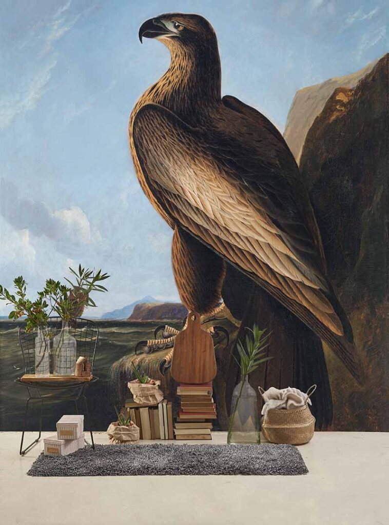 Mighty Washington Sea Eagle Painting Wallpaper Mural - Magicdecor®