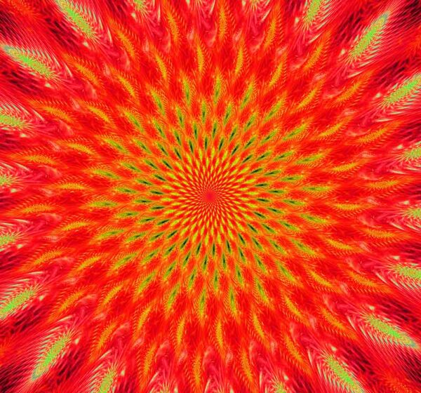 Trippy Bright Spiraling Flower Hypnotic Wallpaper Mural - Magic Decor