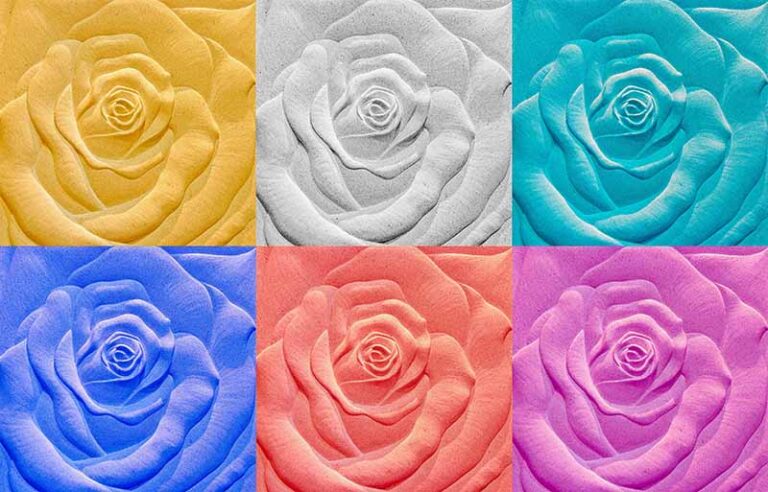 Sculpture Sandstone of Roses Wallpaper Mural - Magic Decor