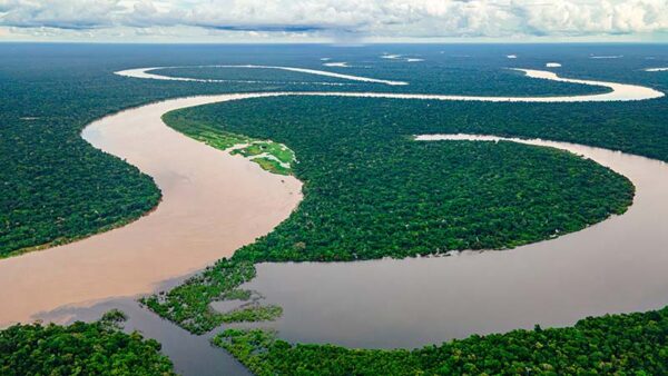 Amazon River Wallpaper Mural - Magicdecor®