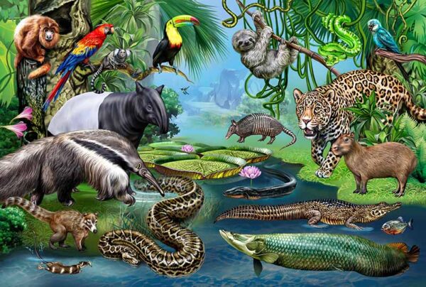 Animals of Amazon Rainforest Wallpaper Mural - Magicdecor®