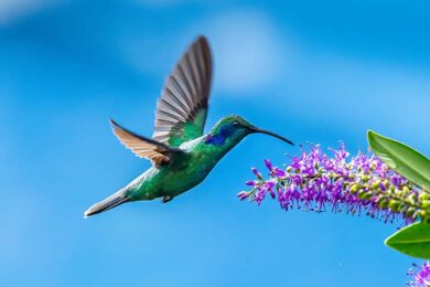 Green Hermit Humming Bird Amazon Rainforest Wallpaper - Magicdecor®