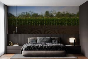Prakritik, Serene Corn Field Wallpaper Mural - Magicdecor®