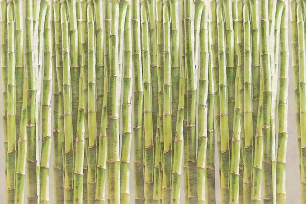 Feng Shui Green Bamboo Balance Wall Wallpaper Mural - Magicdecor®