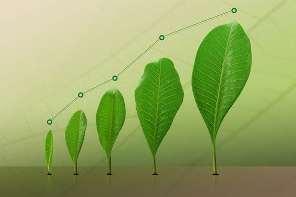 Growth is Gradual Depiction with Green Leaf Wallpaper Mural - Magicdecor®