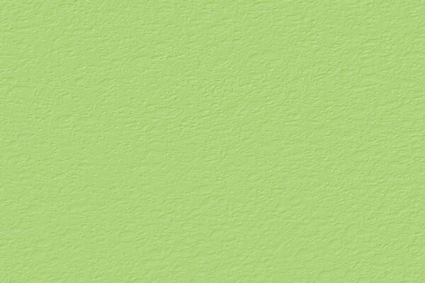 Pistachio Green Textured Surface Effect Wallpaper Mural - Magic Decor